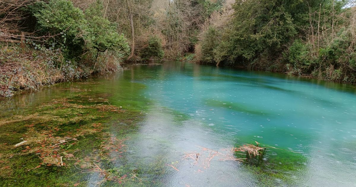 Gomshall, Shere and Silent Pool - Ramblers