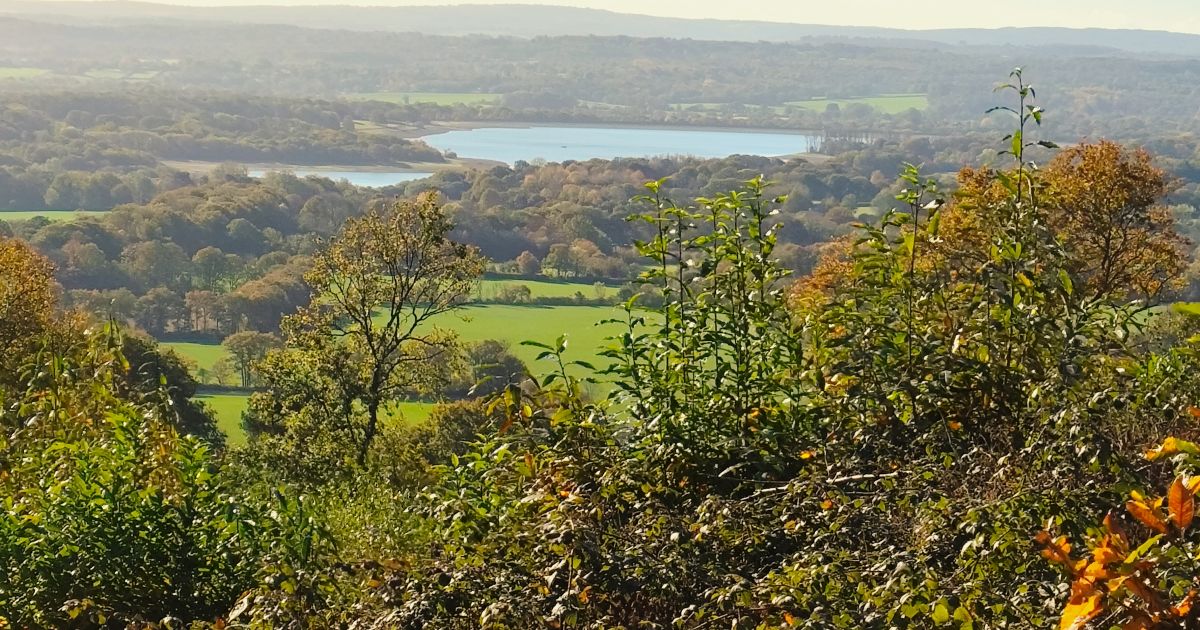 A Walk from Bore Place to Sevenoaks Weald with Views from the Greensand ...