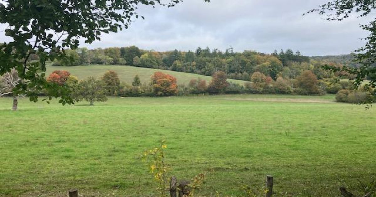 Ranmore Common - Polesden Prospects Circular - Ramblers