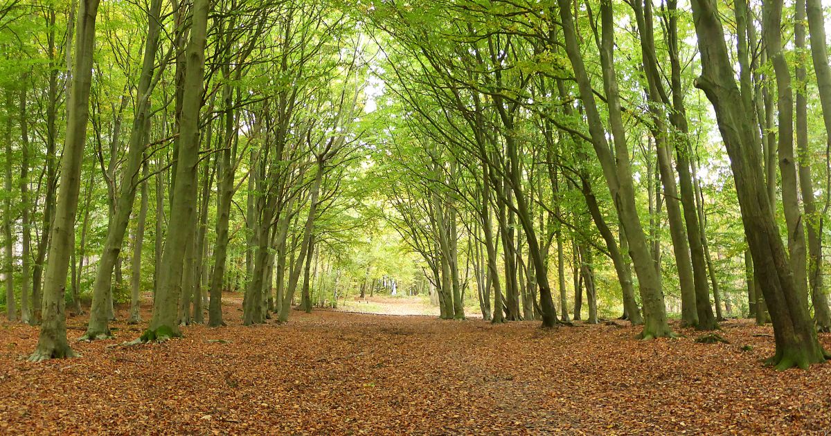 Walesby (Notts) - Ramblers