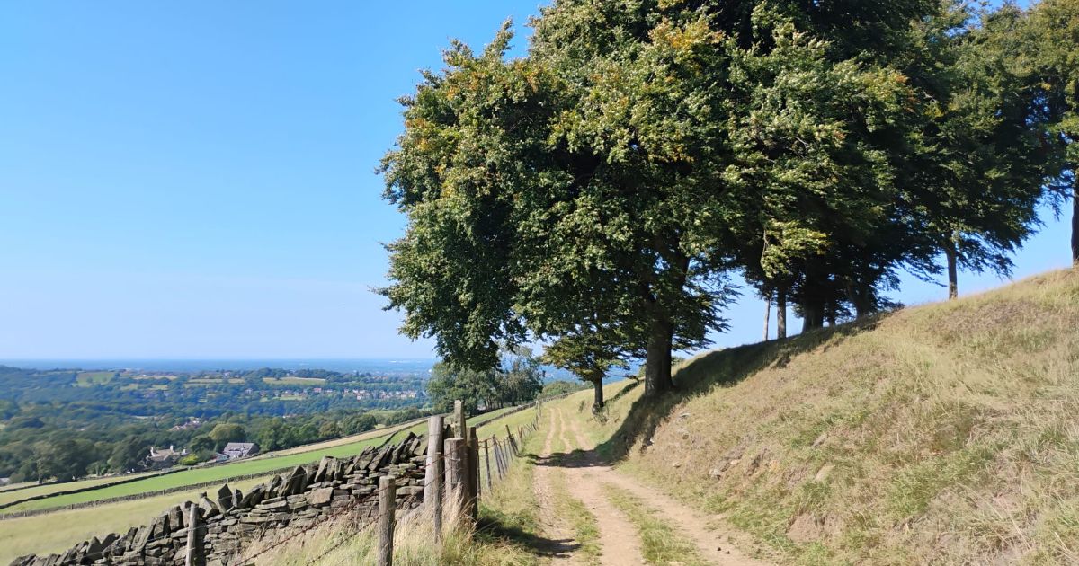 Strines to Marple (GM Ringway stage 6) - Ramblers