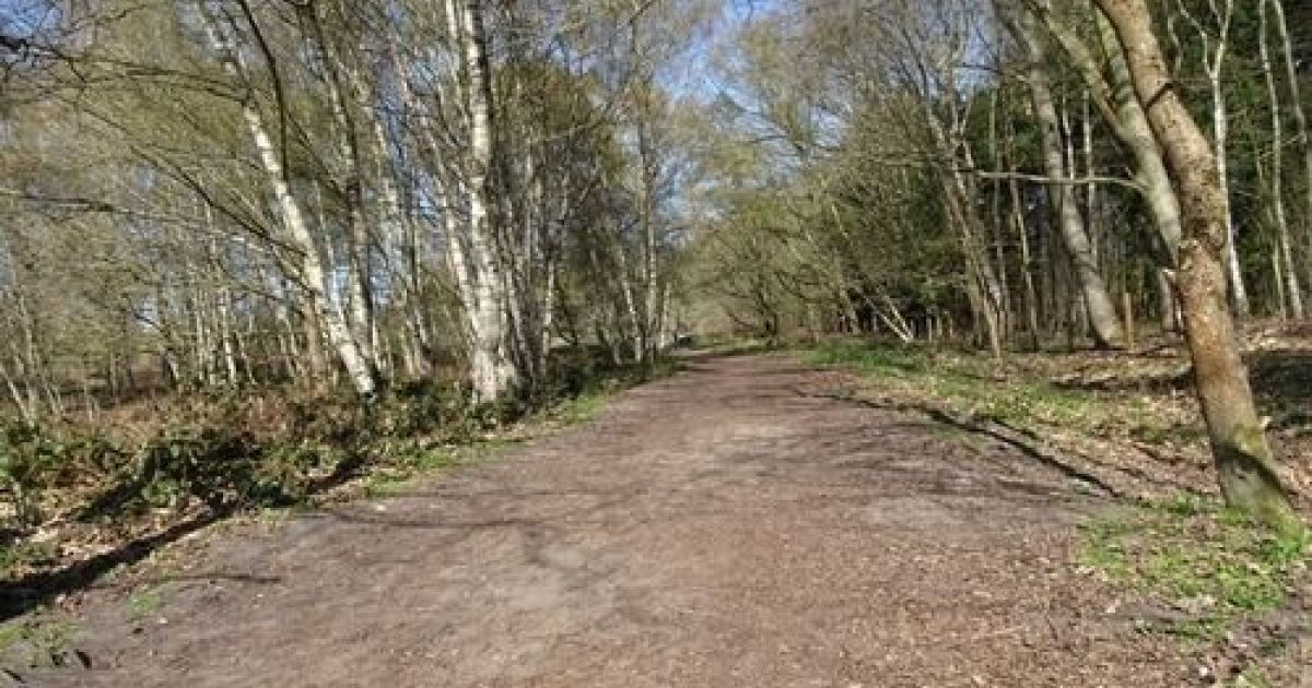 Highgate Common (Bobbington, Staffordshire) - Ramblers