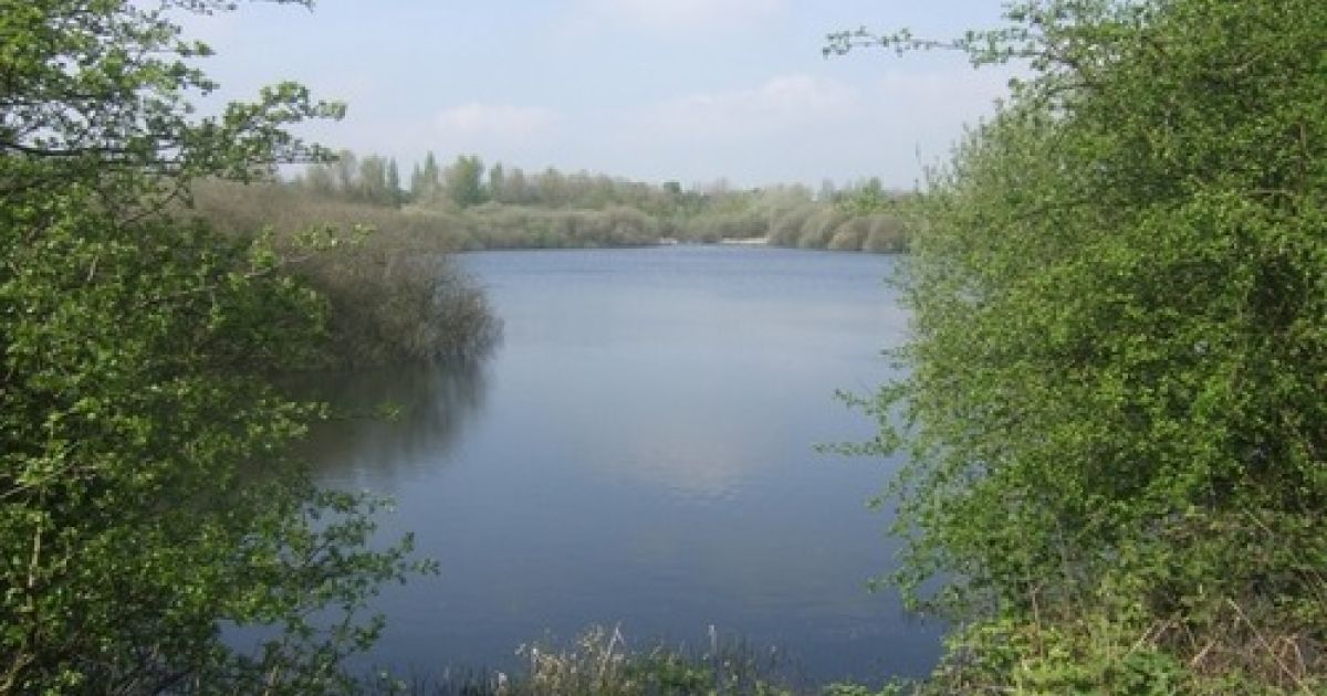 Rough Wood and Sneyd Reservoir (Willenhall, West Midlands) 5m Sat 08/11 ...