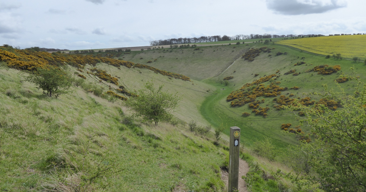 Minster Way section 3: Bishop Wilton to Huggate - Ramblers