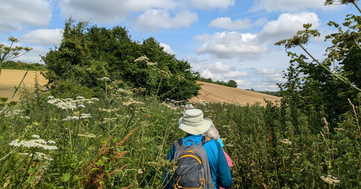West Meon - Ramblers