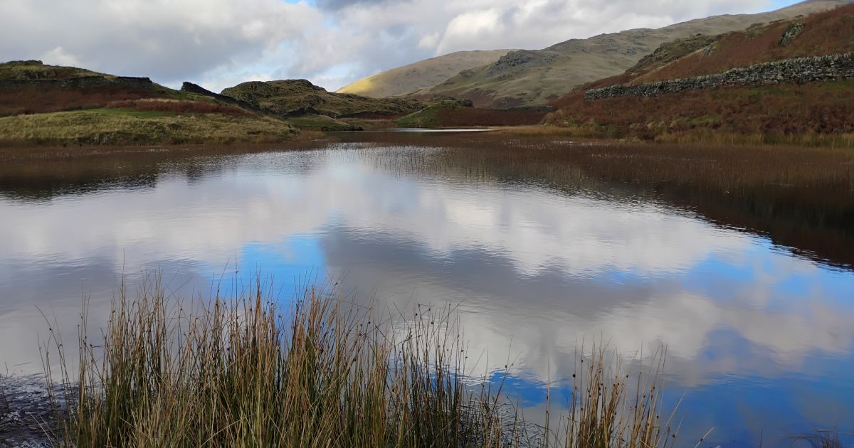 Alcock Tarn, Grasmere and Rydal - 🐝🐝+ Group - Ramblers