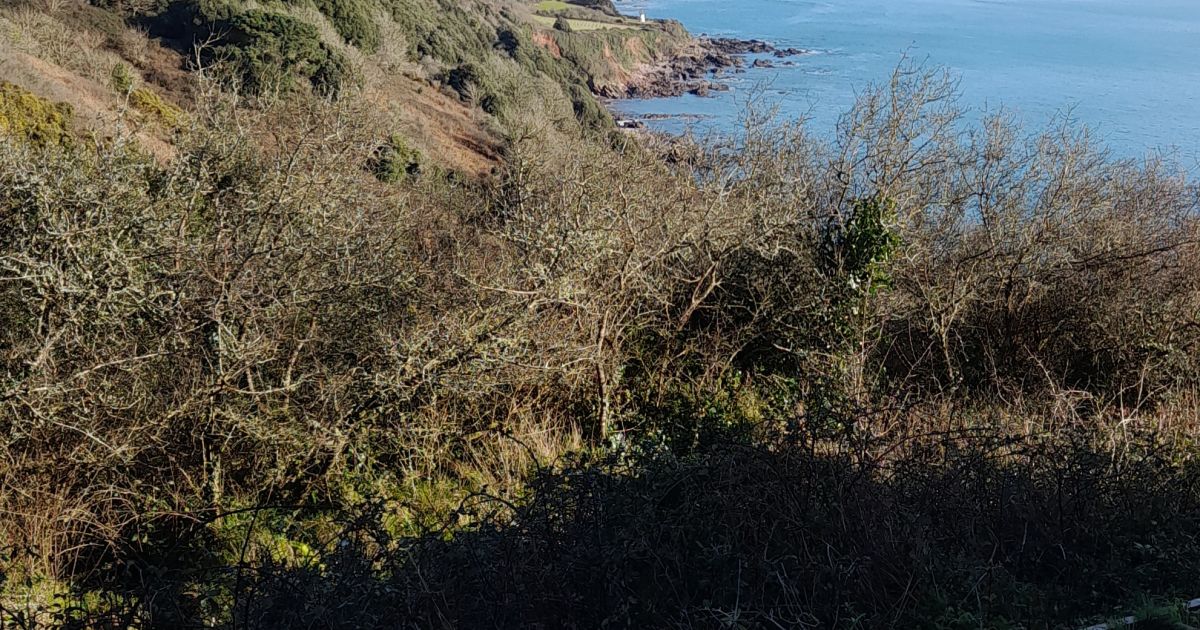 Cremyll Christmas Family Walk (note ferry departs Royal William Yard ...