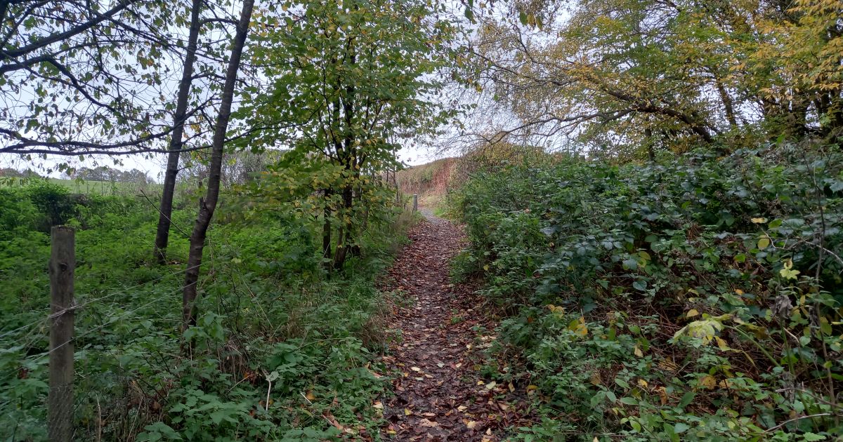 Sarratt, Flaunden circular - Ramblers