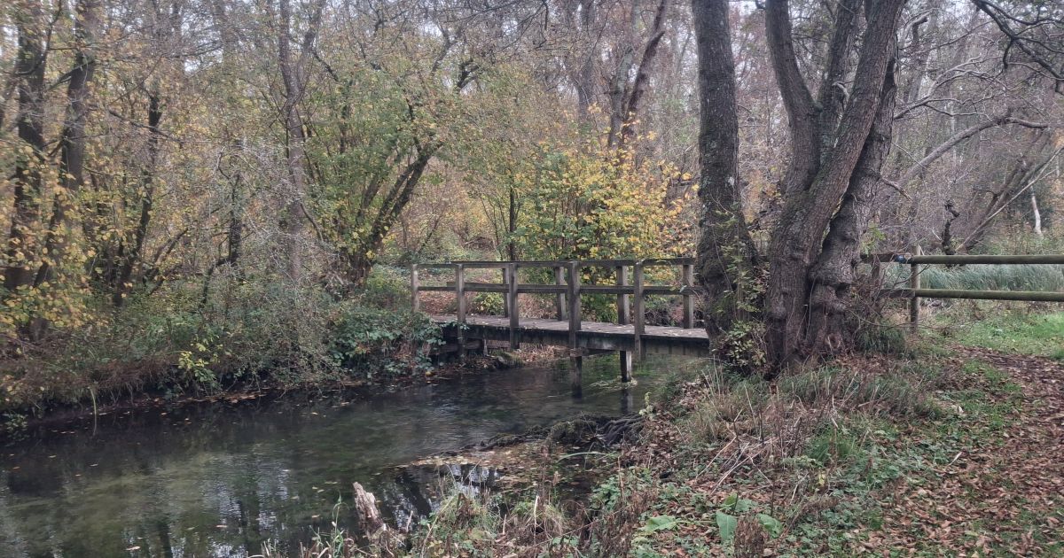 SUTTON SCOTNEY, WONSTON AND BULLINGTON - Ramblers