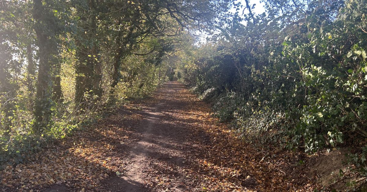 Wyddial Loop - circular eight mile walk - Ramblers