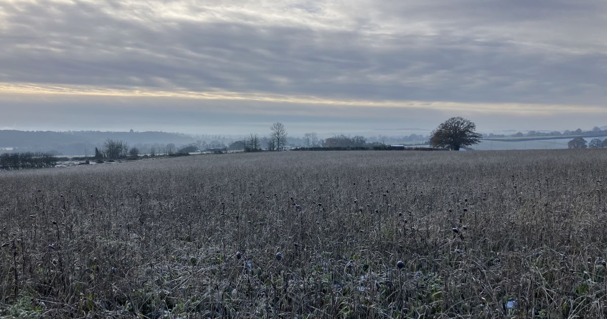 Kingsford Country Park & Wolverley Circular - Ramblers