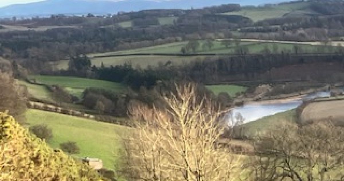 Melrose / Gattonside / Southern Upland Way / Sorrowlessfields ...