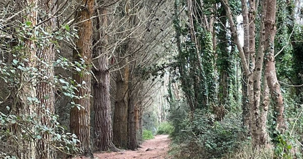 ST MAWGAN TO MAWGAN PORTH CIRCULAR - All welcome - bookings required ...