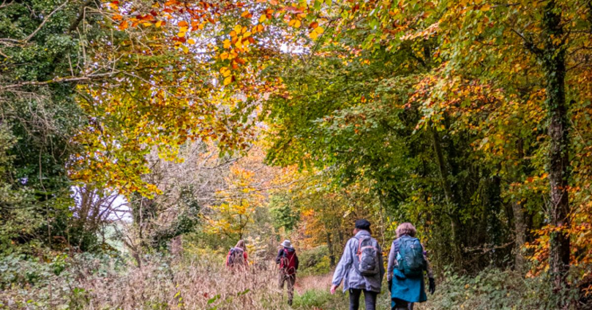 Shawford circular. via Winchester - Ramblers