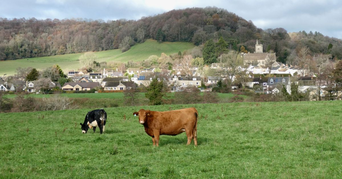 Uley Bury - Ramblers