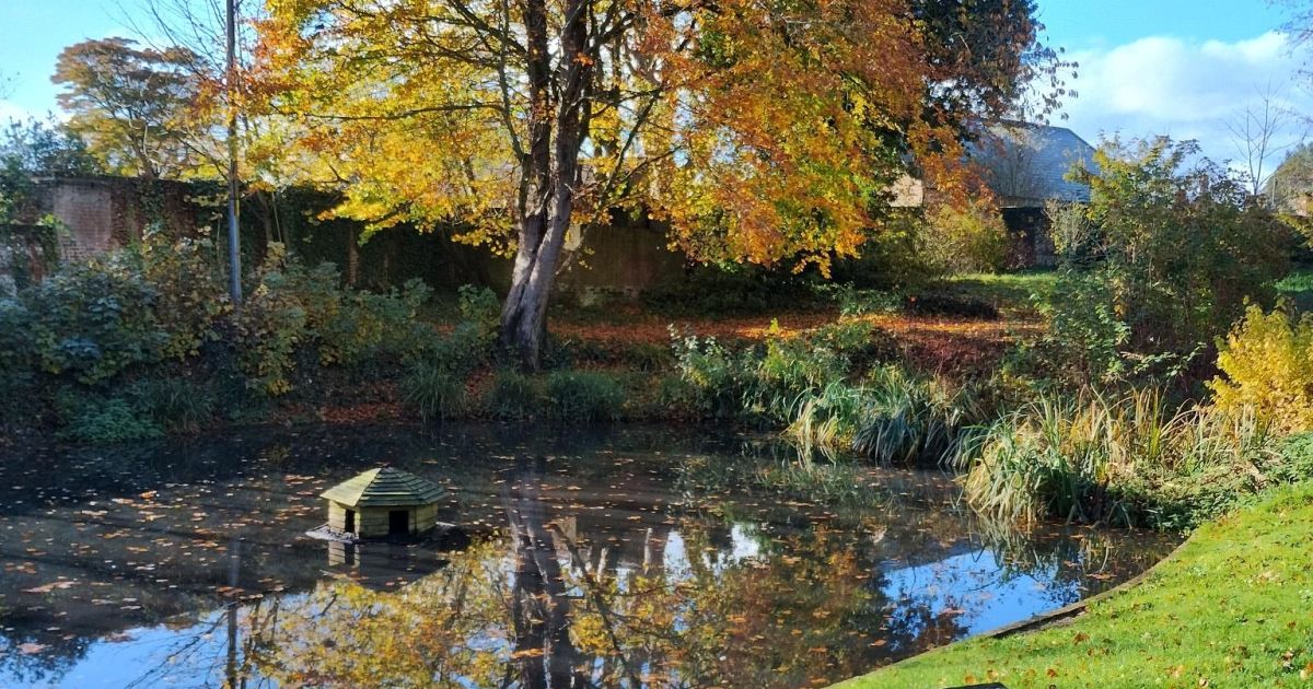 Upham circular - Ramblers