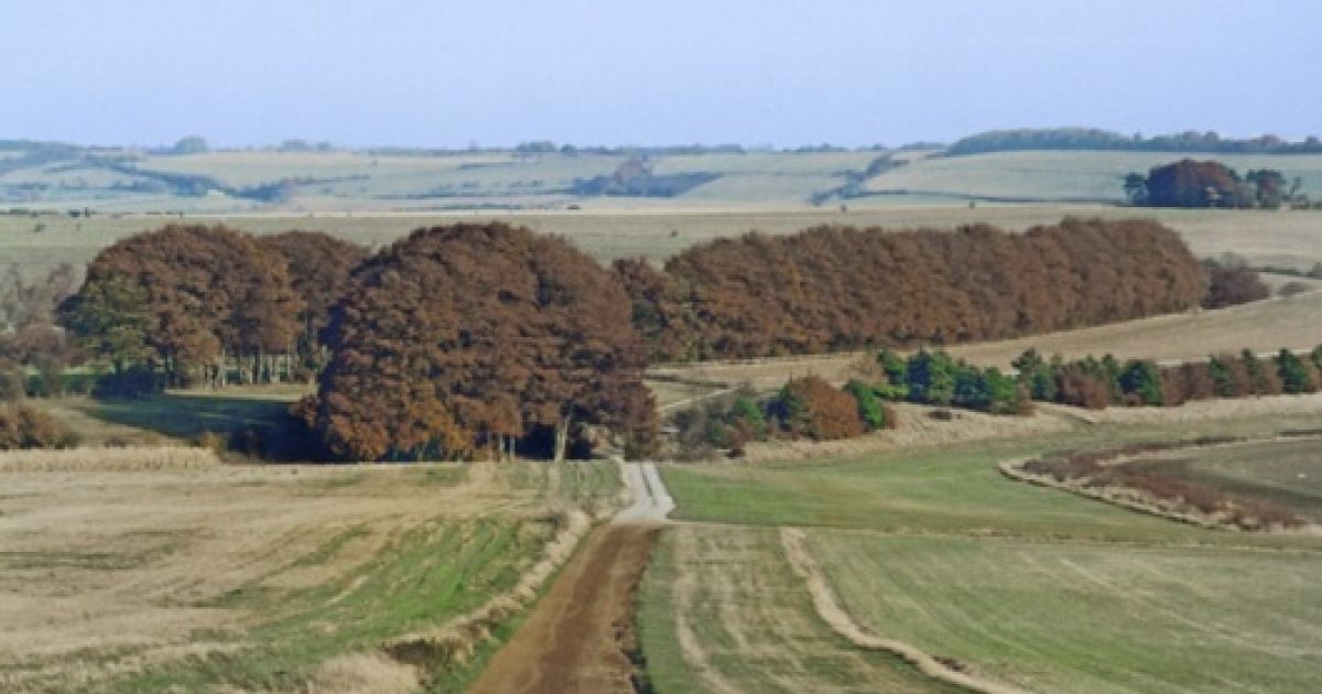 Fyfield Down including Devil's Den - Ramblers