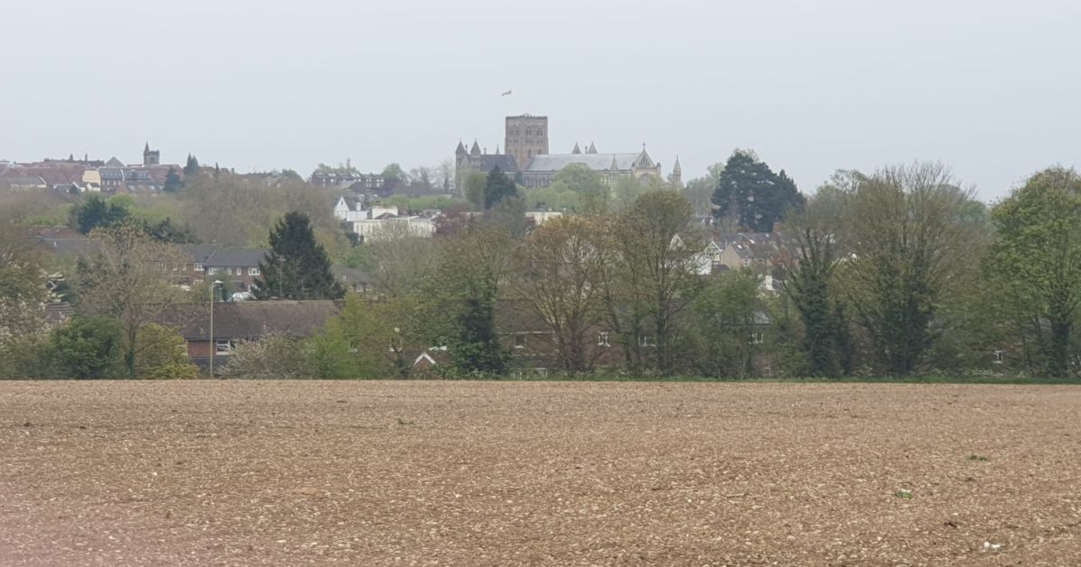 St Albans Loop Challenge (14 miles/22.5 km - Moderate, Booking Required ...