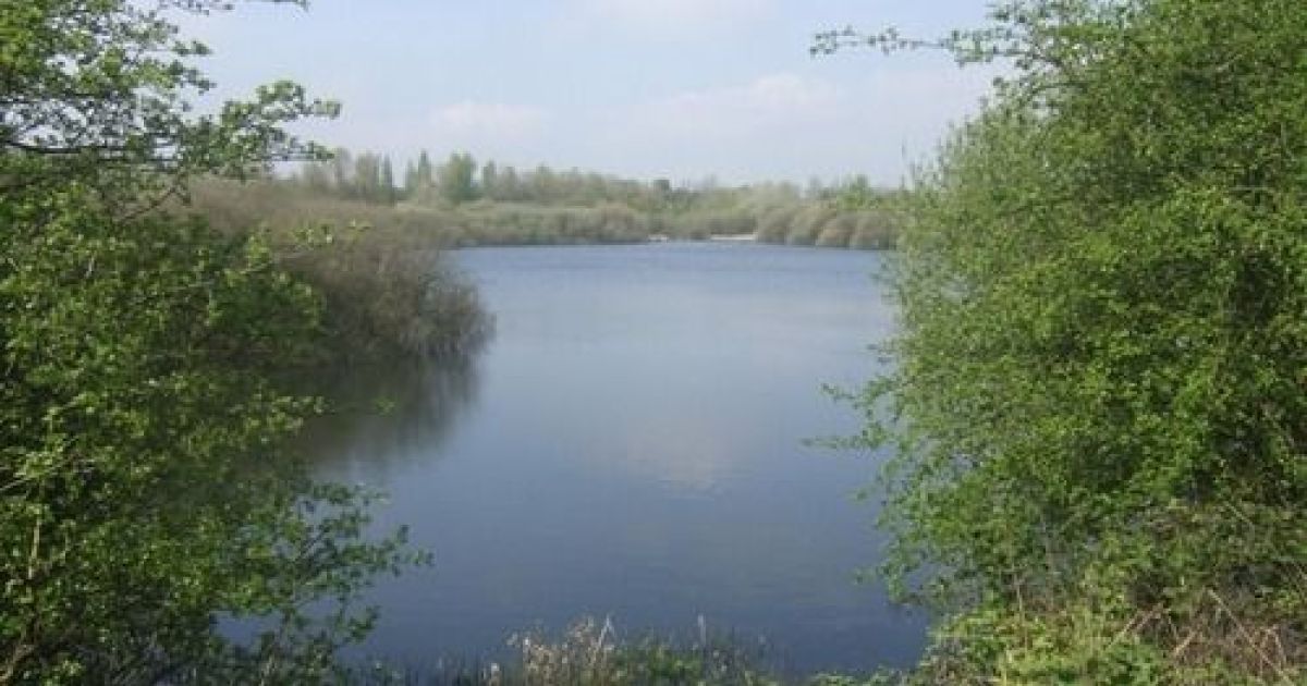 Rough Wood and Sneyd Reservoir (Willenhall, West Midlands) - Ramblers