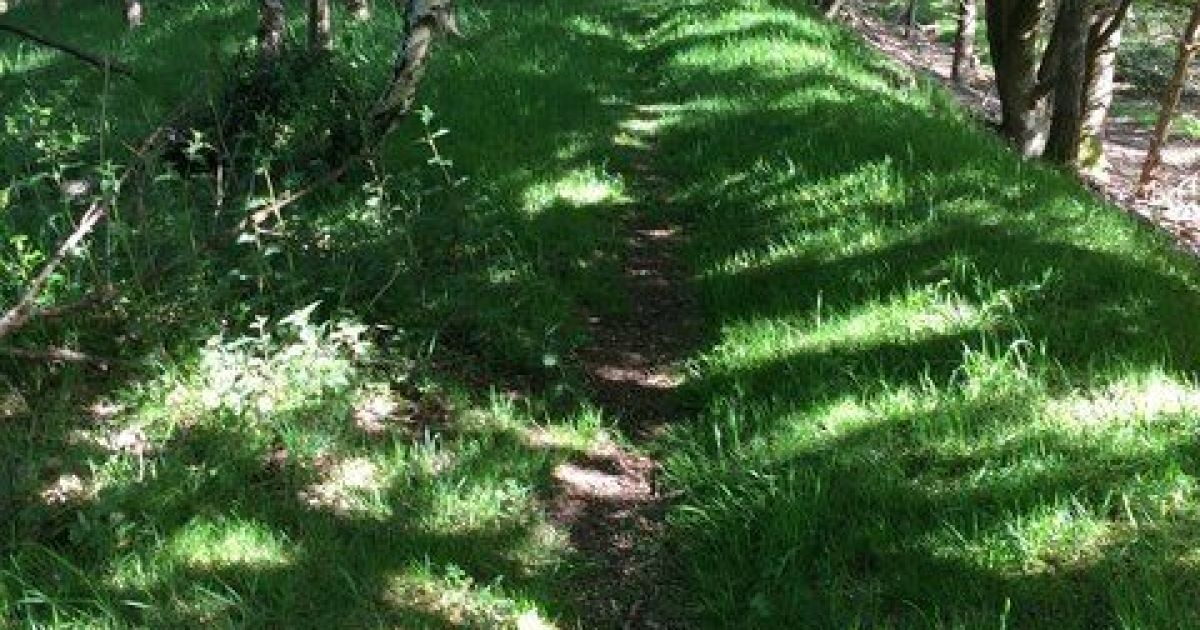 A walk round Chasewater (Brownhills, West Midlands) - Ramblers