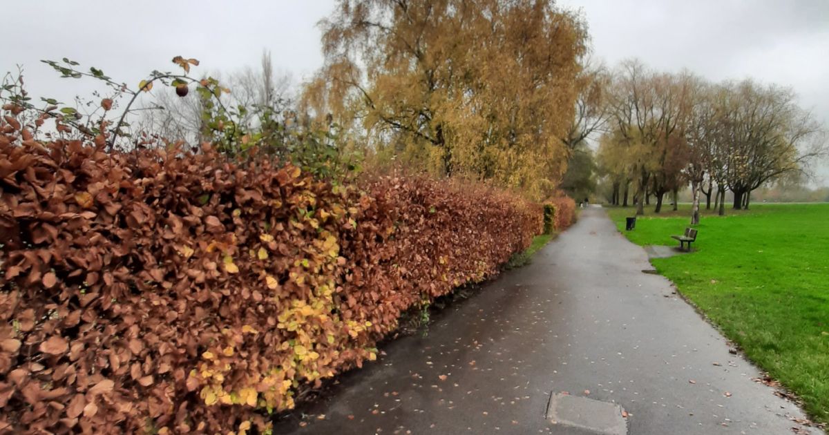 Green spaces Levenshulme to Openshaw: Manchester Green Trail 1 - Ramblers