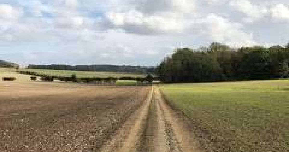 Ryarsh to Harvel House Farm Circular - Ramblers