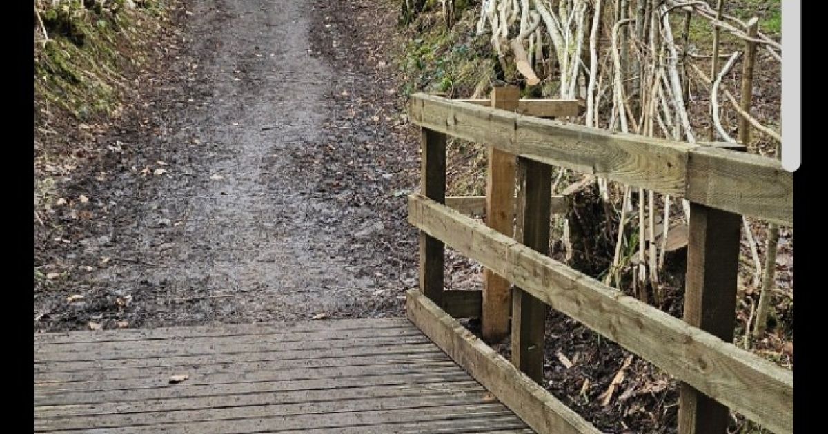 Hawkbatch to Callow Hill, Wyre Forest - Ramblers