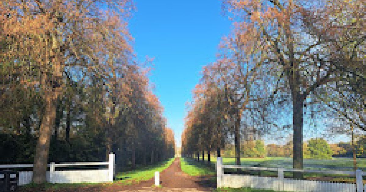 Richmond to Hampton via Bushy Park - Ramblers