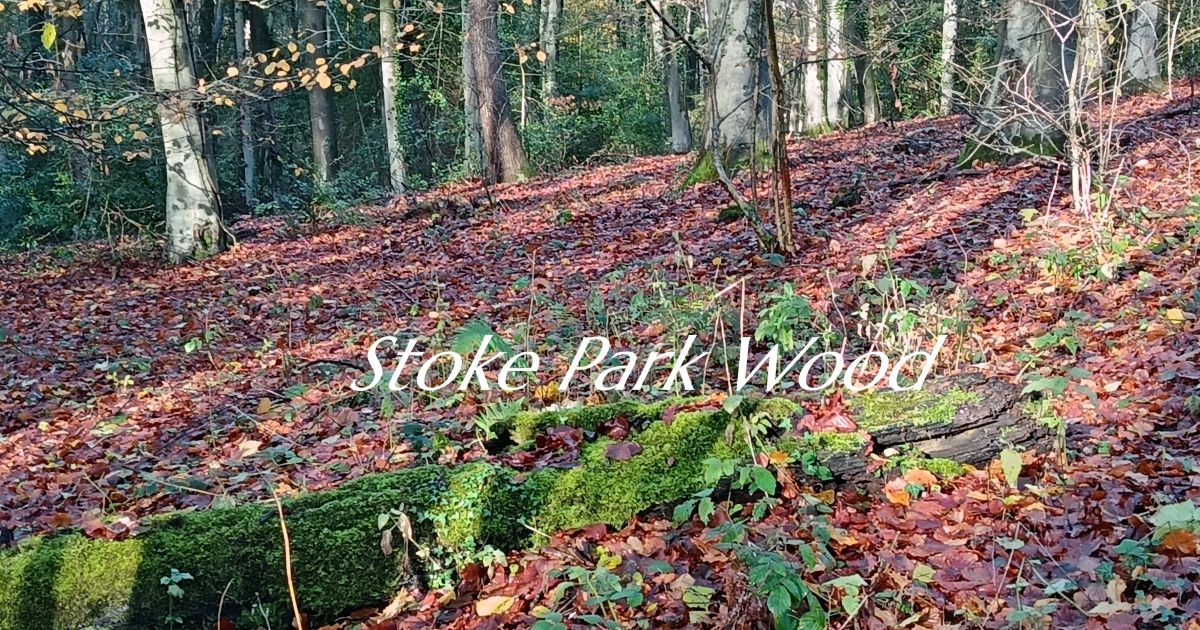 Bishopstoke Circular via Stoke Park Common Brambridge and River Itchen ...