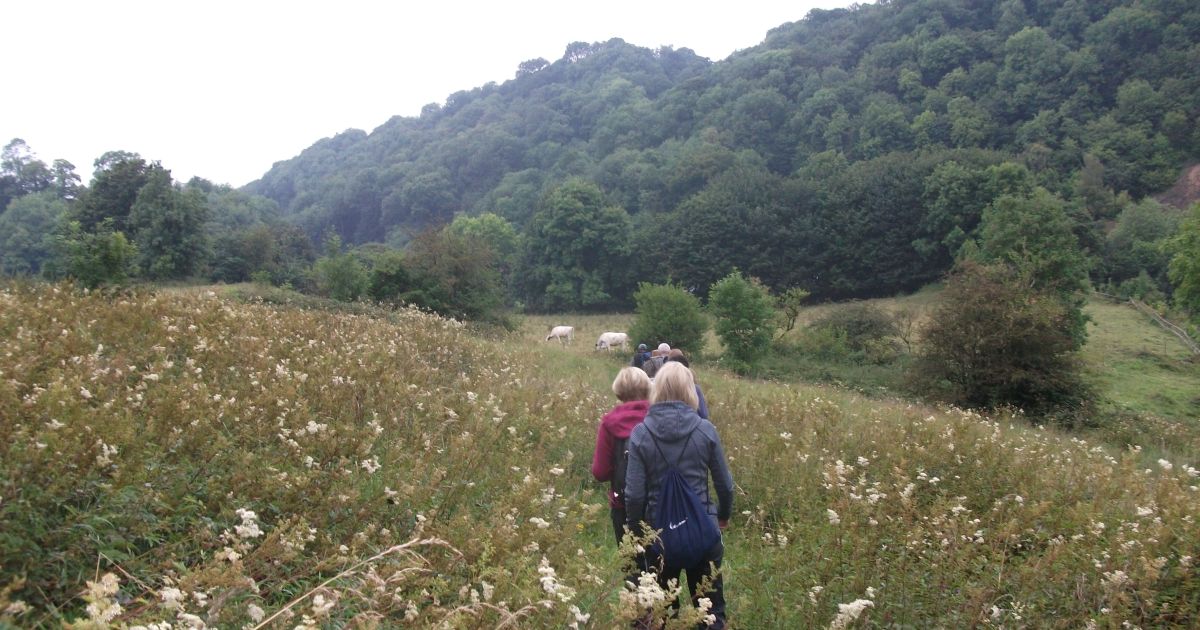 A New Years Day Walk from the Spotted Cow at Holbrook - Ramblers