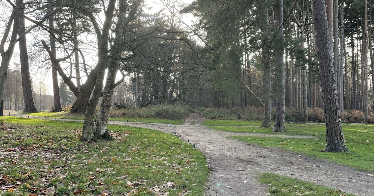 Sherrardspark Woods and Brocket Hall Loop - Ramblers