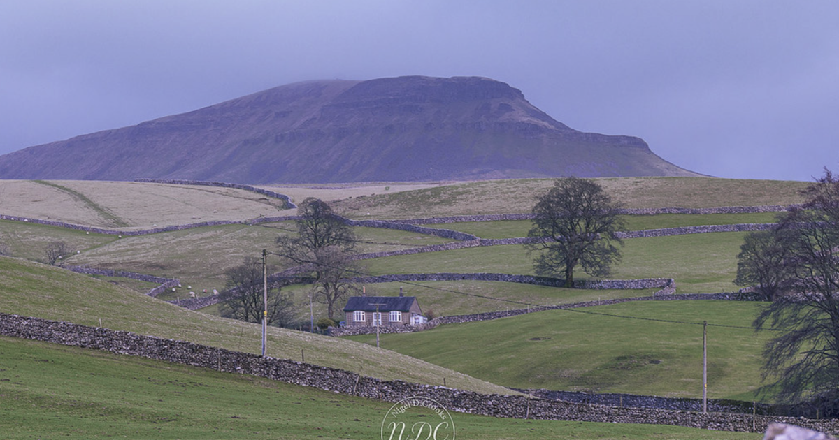 Brackenbottom circular