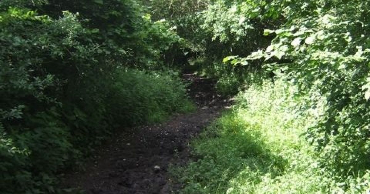 Five Trails near the Fingerpost (Pelsall, Walsall) - Ramblers