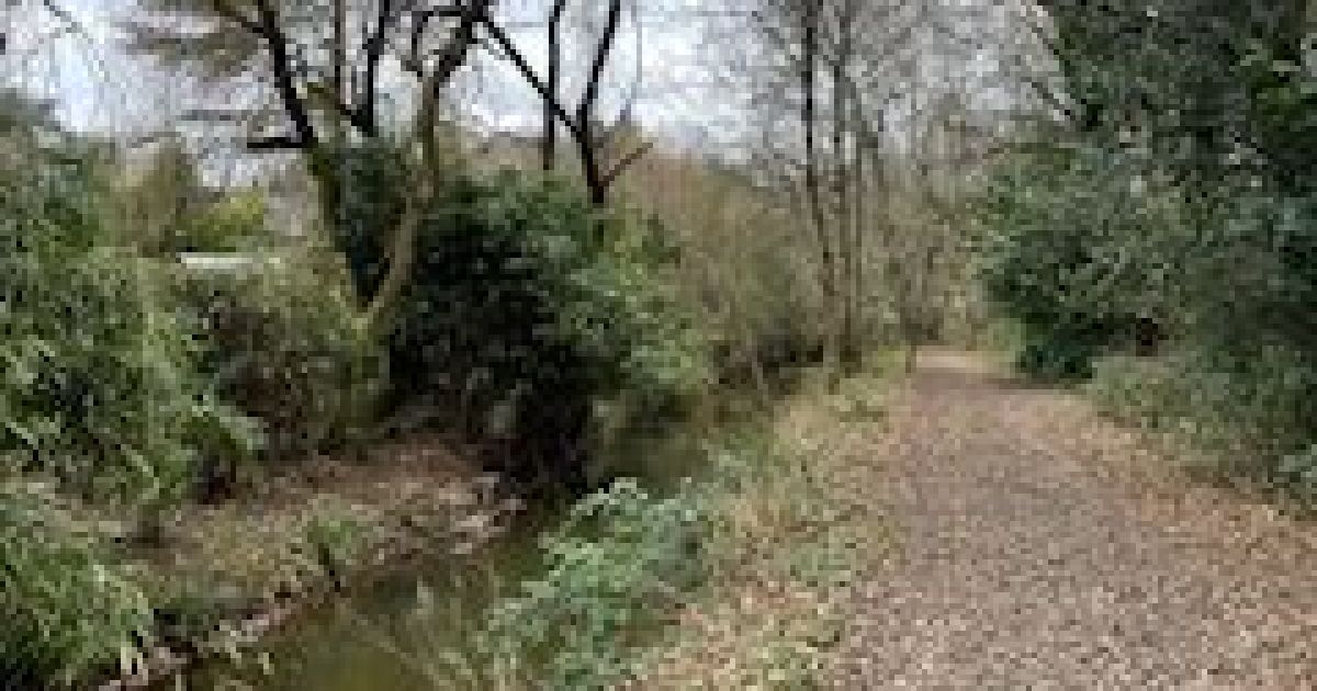 Easy Walk- Woking Park & Hoe Valley - Ramblers