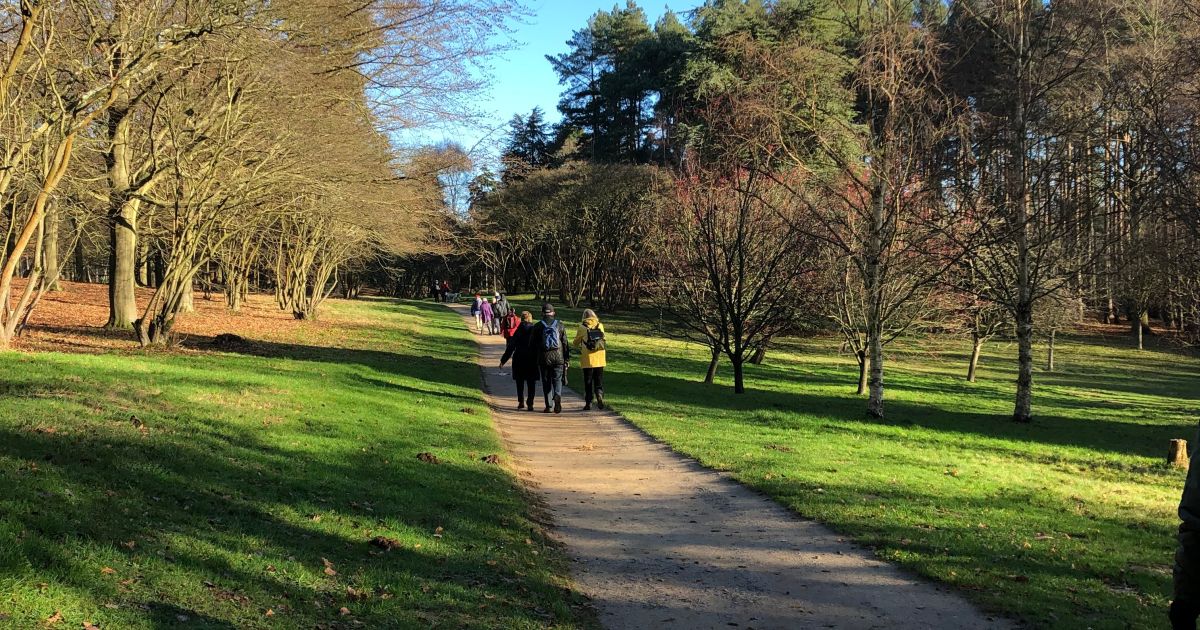 Windsor Great Park from Ascot Gate - Ramblers