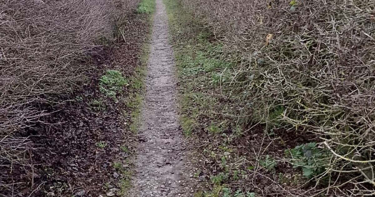 WEDNESDAY WALK - Luddite Walk - Ramblers