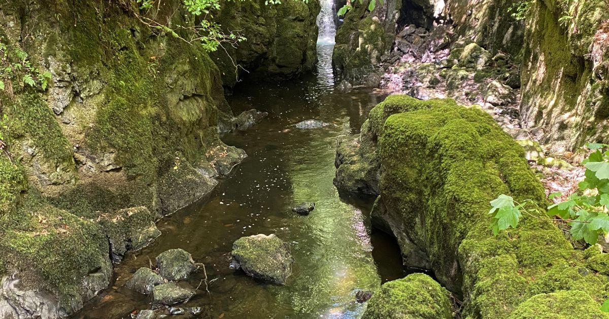 Pool of Muckhart and Rumbling Bridge - Ramblers