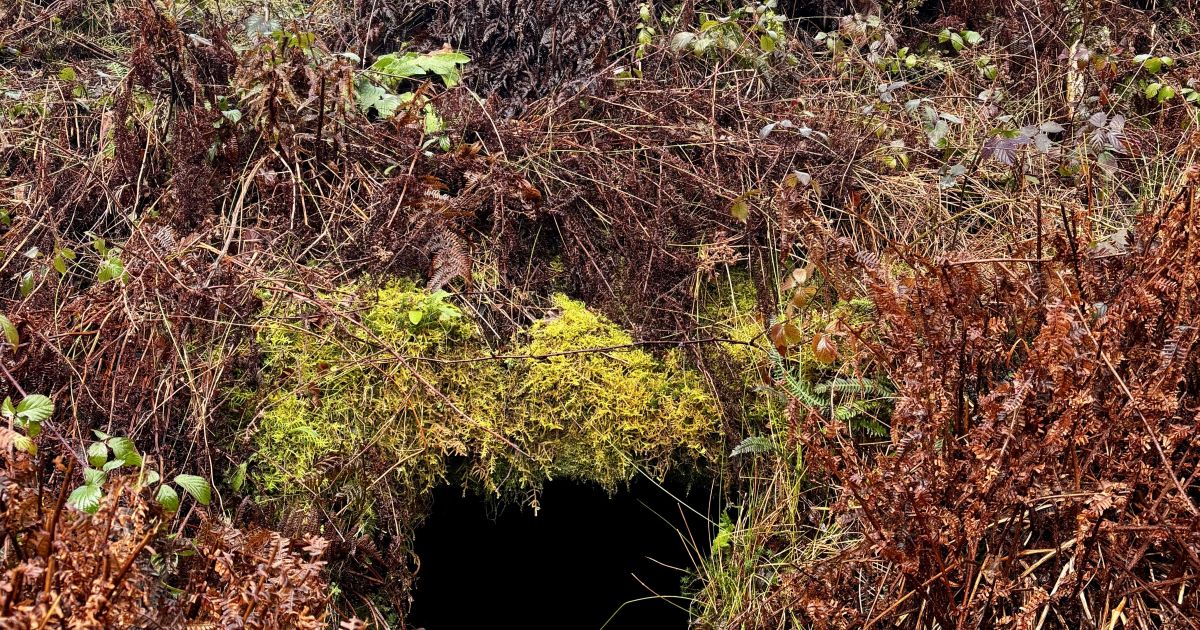 The hunt for 6 potato caves , over streams , through medieval woods and ...