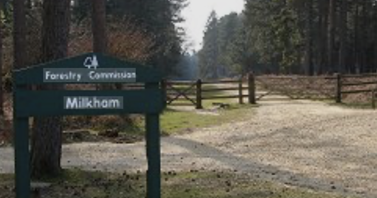 New Forest - Short Walk - Ramblers