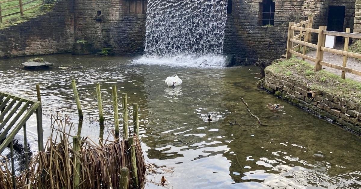WEDNESDAY WALK - Harlow Wood to Hucknall, Notts. - Ramblers