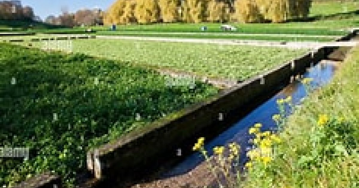BROADCHALKE-KNOWLE HILL- OX DROVE - MIDDLETON DOWN - CHURCH BOTTOM ...