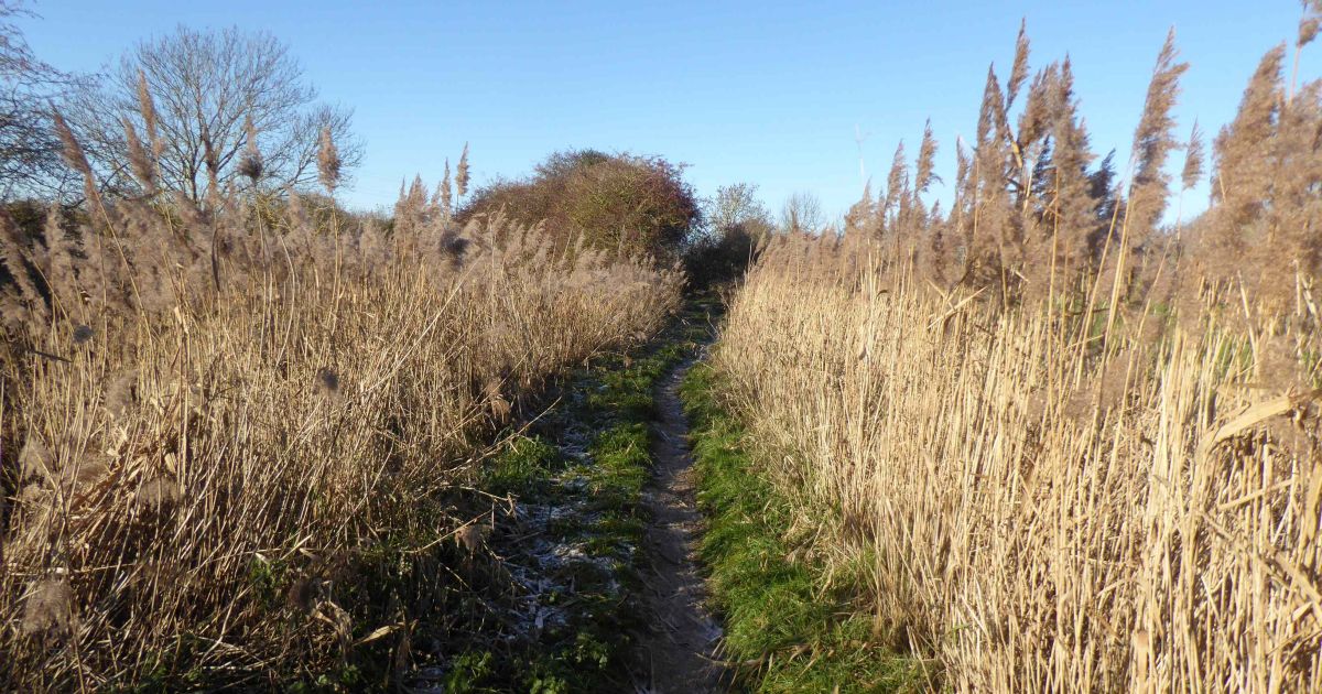 Teversham circular - Ramblers