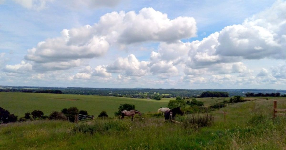 Lockerley circular - Ramblers