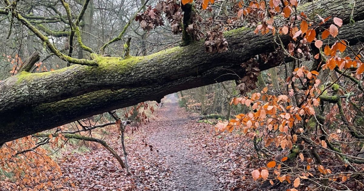 Survey reveals collapse in funding for Scottish paths and outdoor ...