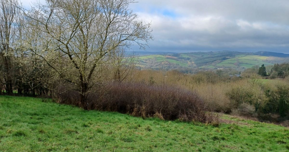 DURYARD – A ROYAL HUNTING FOREST - Ramblers