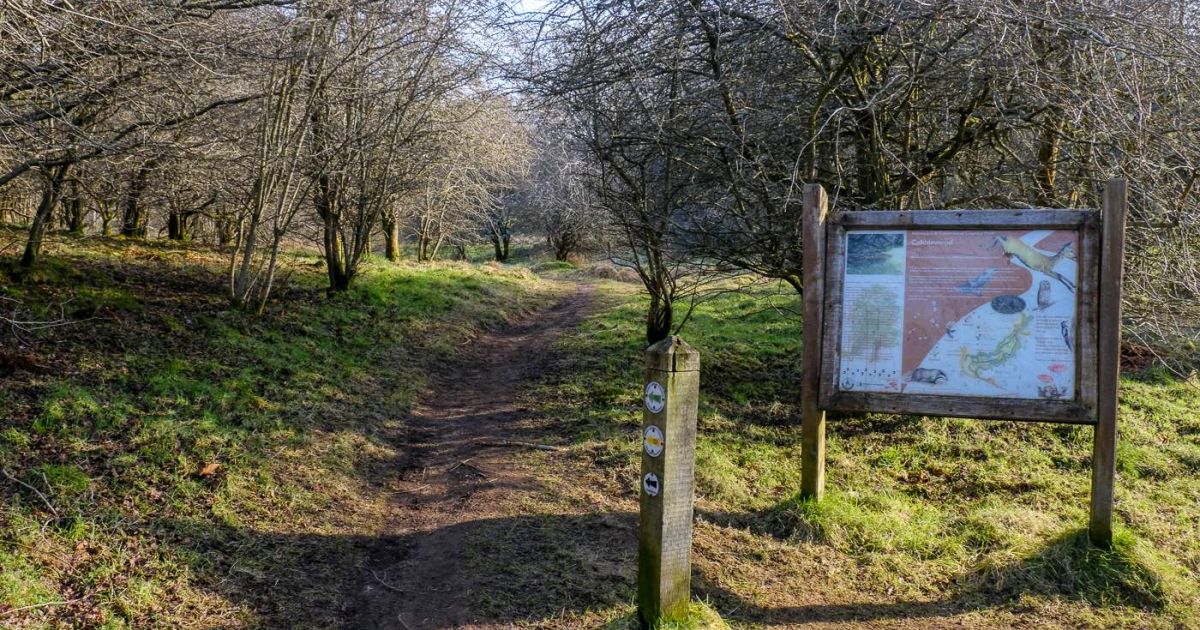 Saturday Jaunt - Murieston, Linhouse and Calderwood Circular - Ramblers