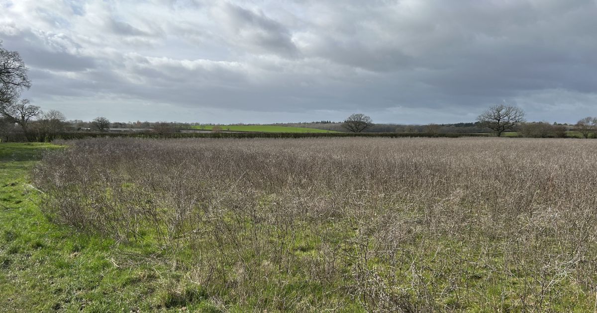 Hawbridge / Drakes Broughton Circular - Ramblers