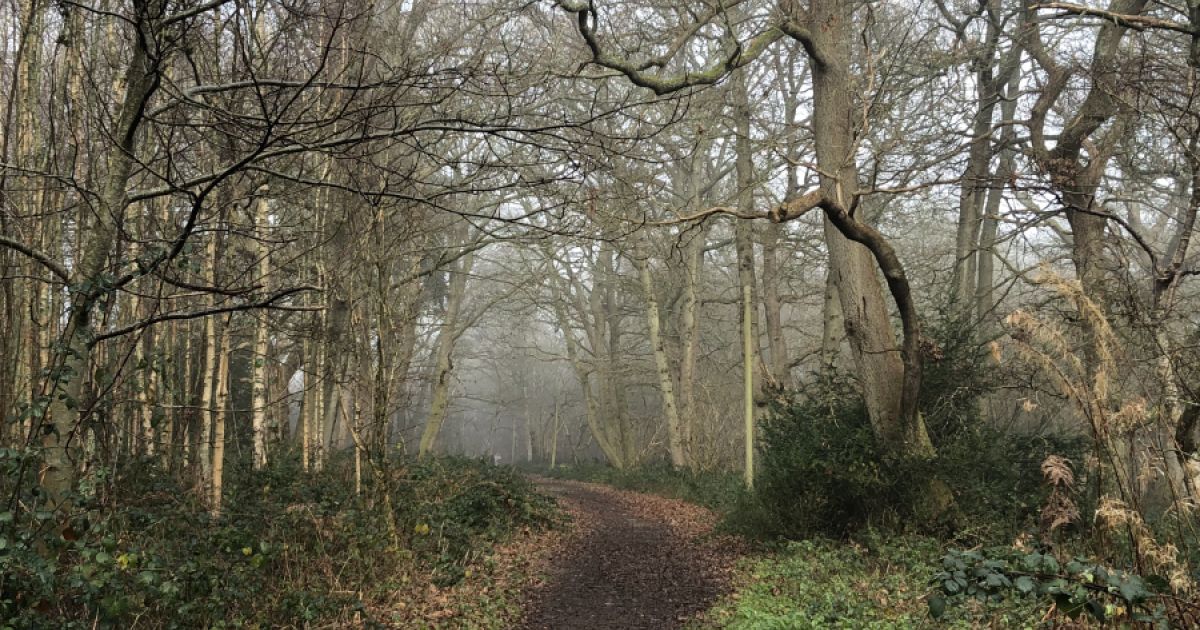 Banstead Circular - Ramblers