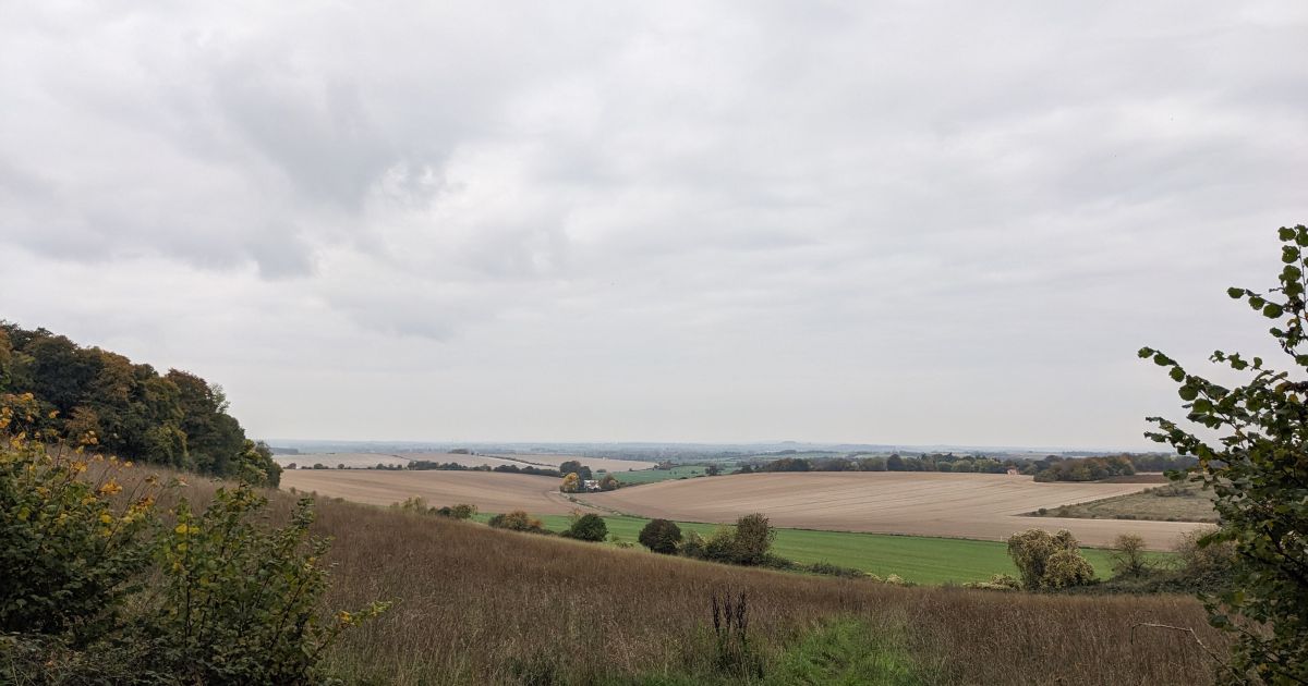 The Chiltern Way (Section 8): Ewelme to Stokenchurch - Ramblers