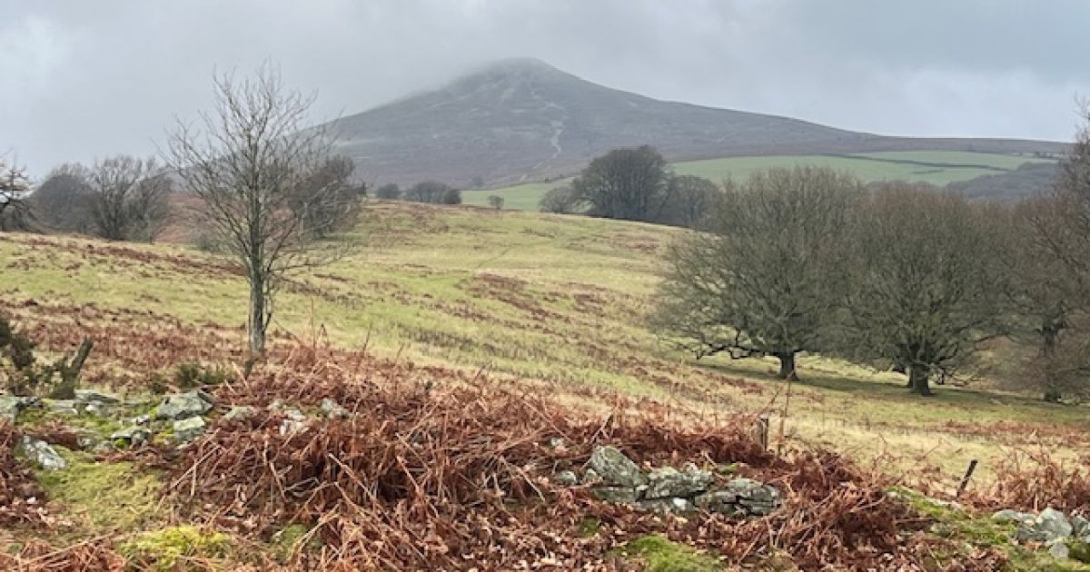 Mynydd Pen-Y-Fal (As It’s St David’s Day) - Ramblers
